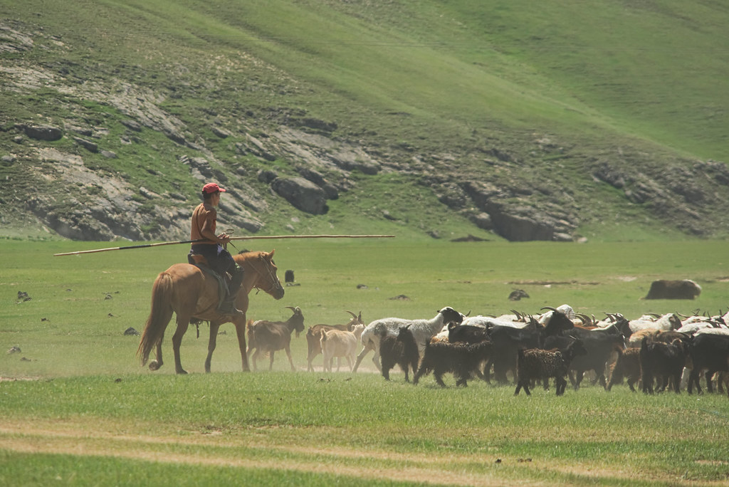 ICOMOS World Heritage Transhumance Initiative Launches Call for Poster ...