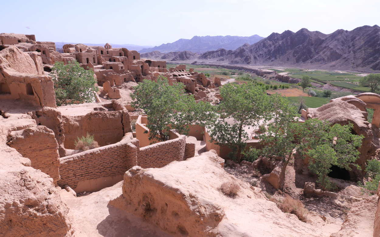 Panel Discussion: Disaster Risk Management in Urban Heritage Sites in ...